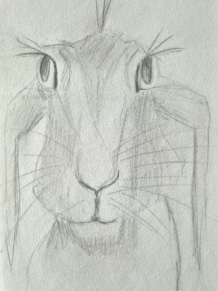 Unsettled – Thrummie Bizzum