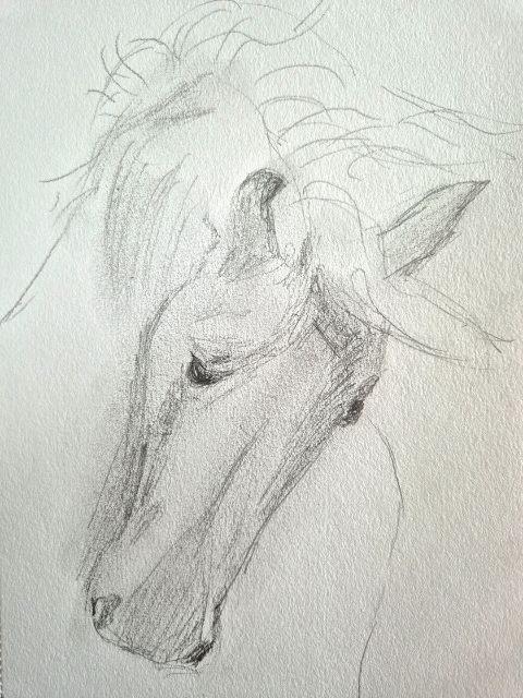 Sad Horse – Thrummie Bizzum