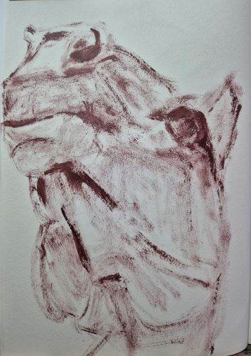 Challenging angle – Thrummie Bizzum